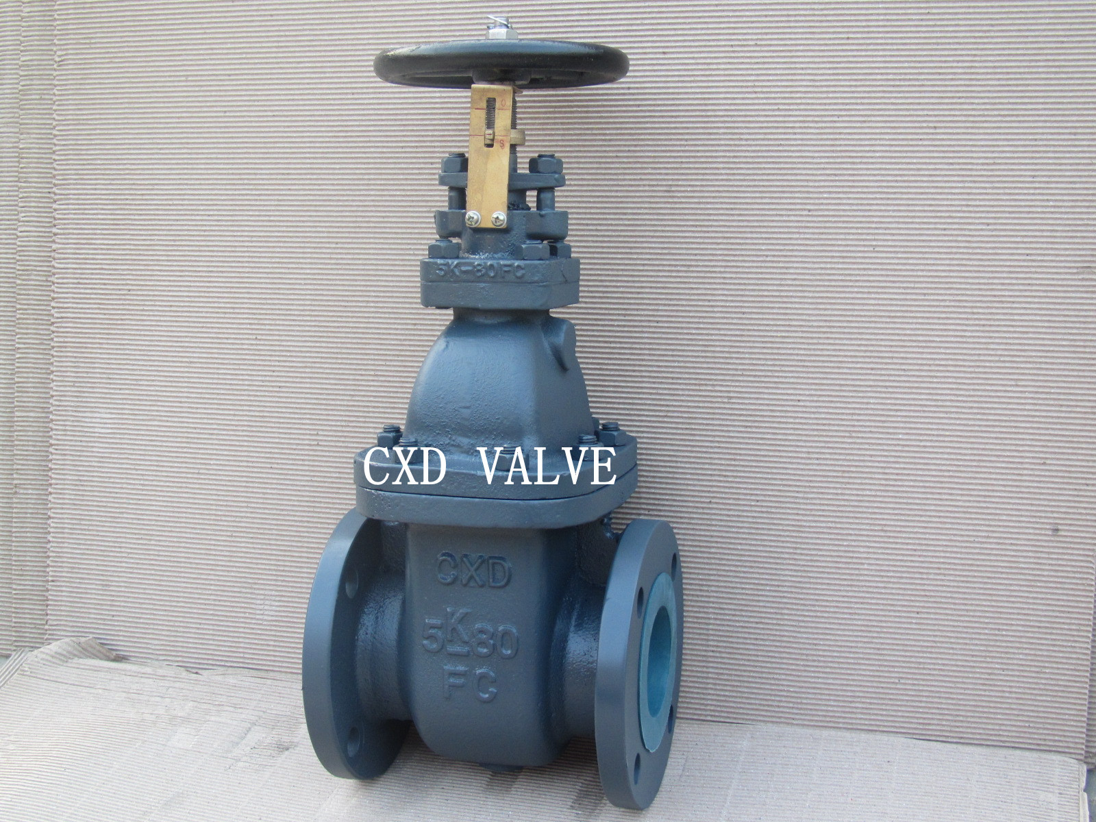 Indonesia JIS-marine-cast Iron Gate valve F7363 5k F7364 10k F7369 In Batam